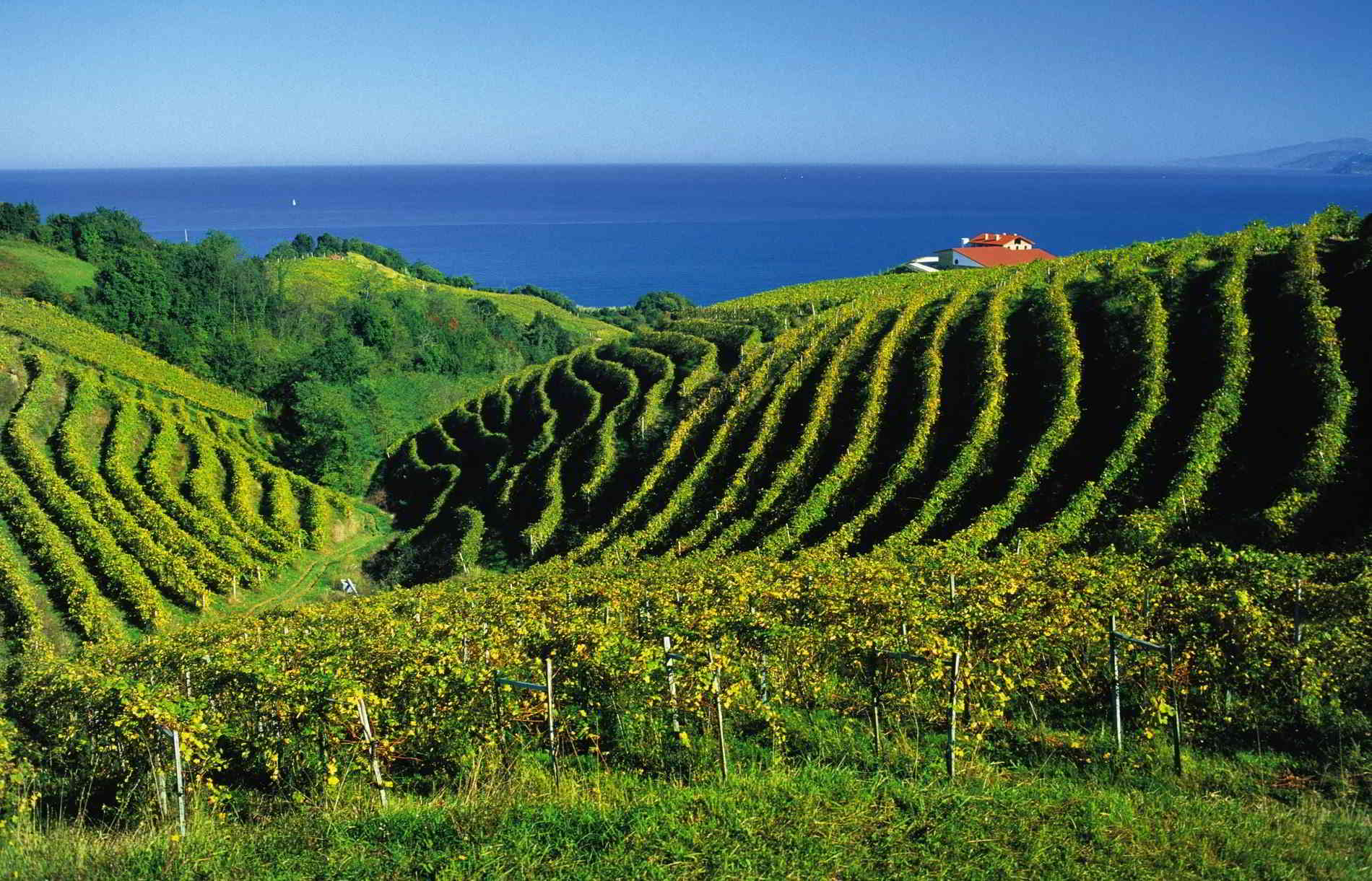 Private French Basque Country Tours and Luxury Excursions